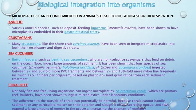 Microplastics | PPTX