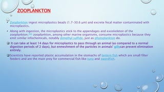 Microplastics | PPTX