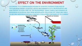 Microplastics | PPTX