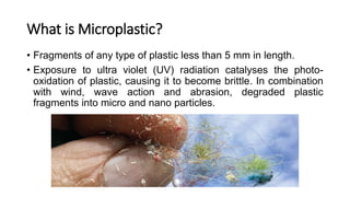 Microplastic Are Everywhere- But Are They Harmful | PPTX