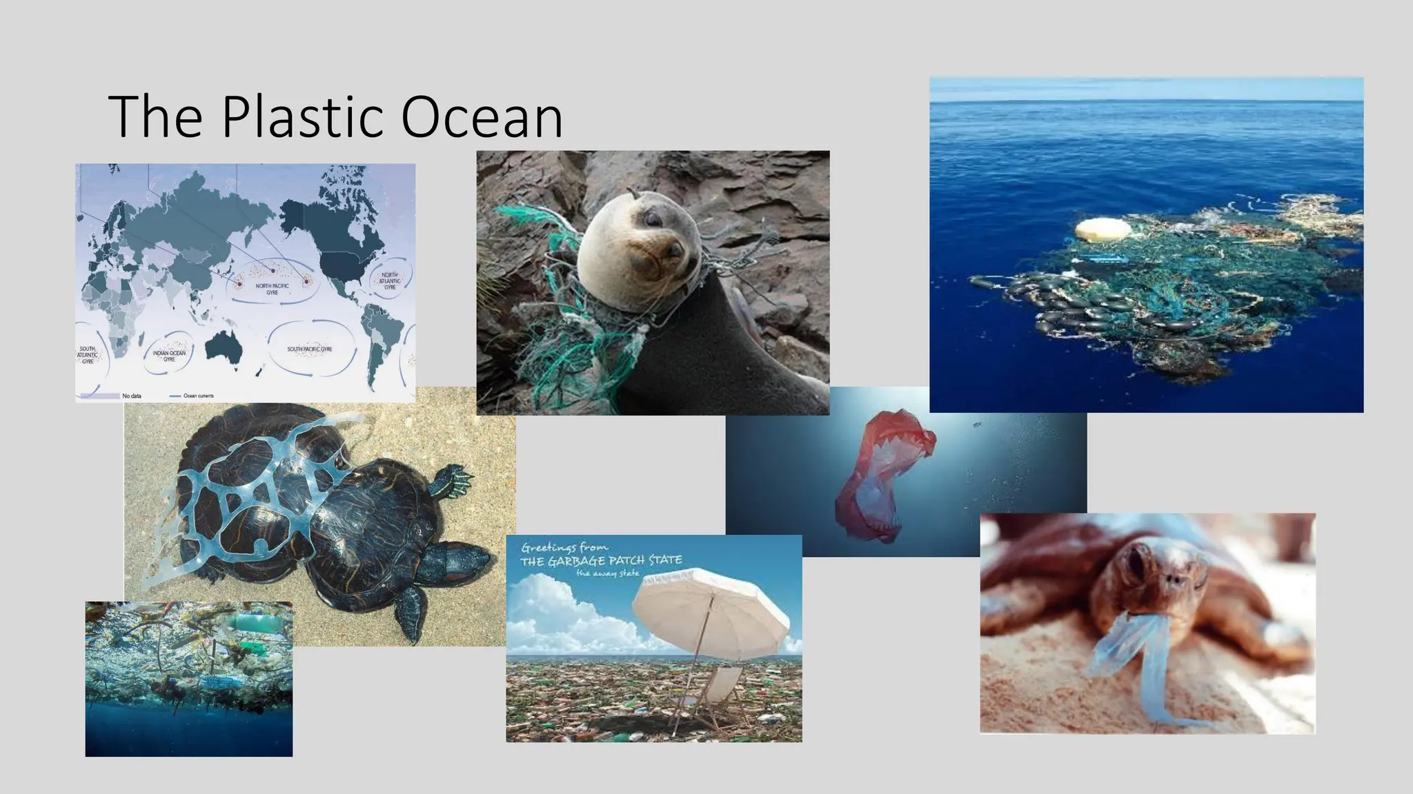 microplastics-in-freshwater-environment.pdf