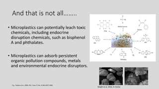 microplastics-in-freshwater-environment.pdf