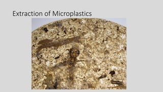 microplastics-in-freshwater-environment.pdf