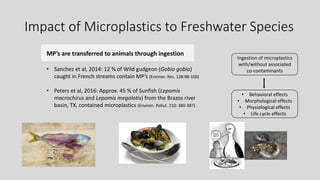 microplastics-in-freshwater-environment.pdf