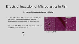 microplastics-in-freshwater-environment.pdf