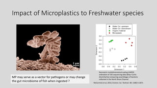 microplastics-in-freshwater-environment.pdf