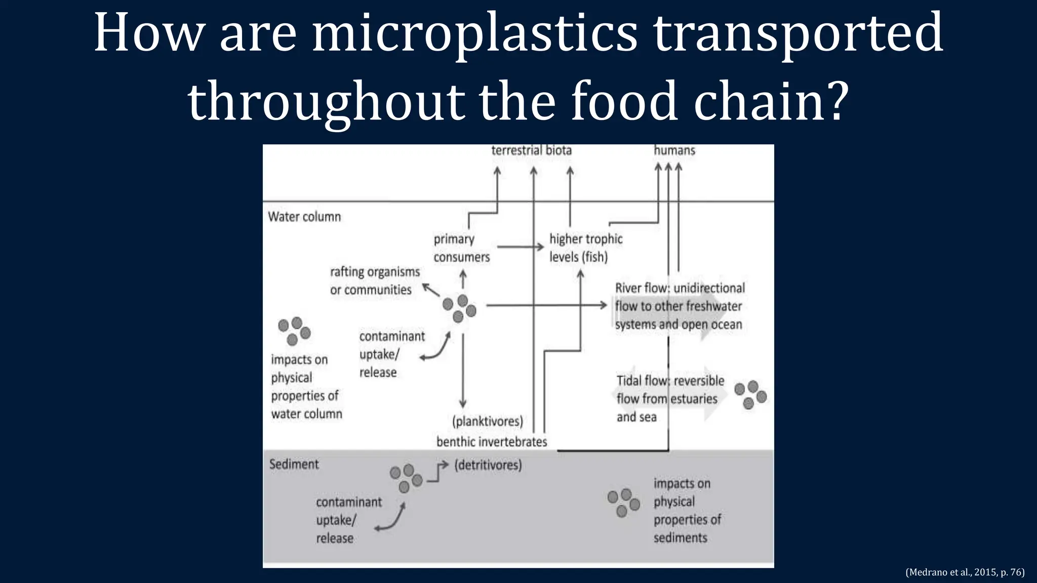 Microplastics Presentation copy (1).pptx