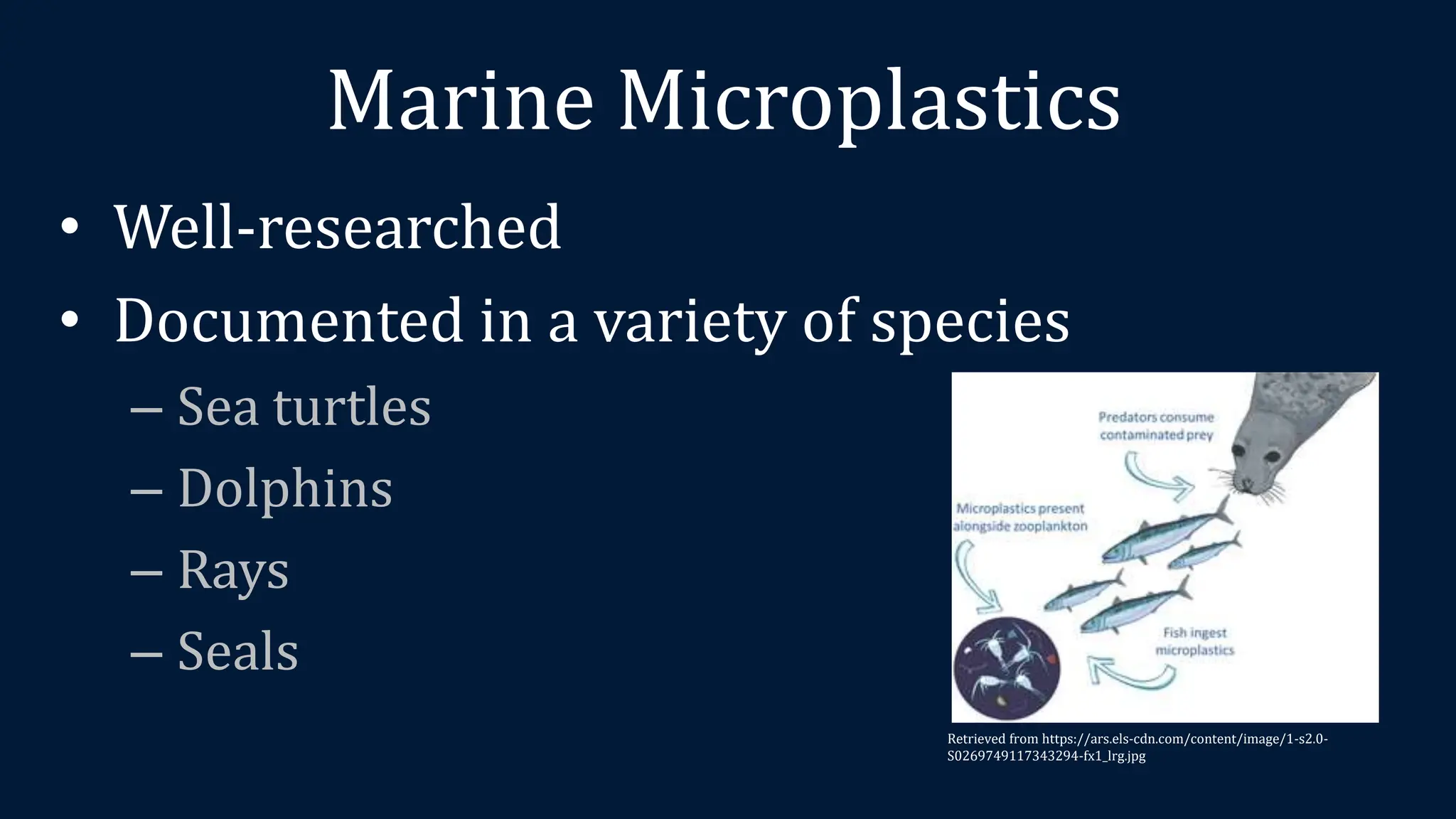 Microplastics Presentation copy (1).pptx