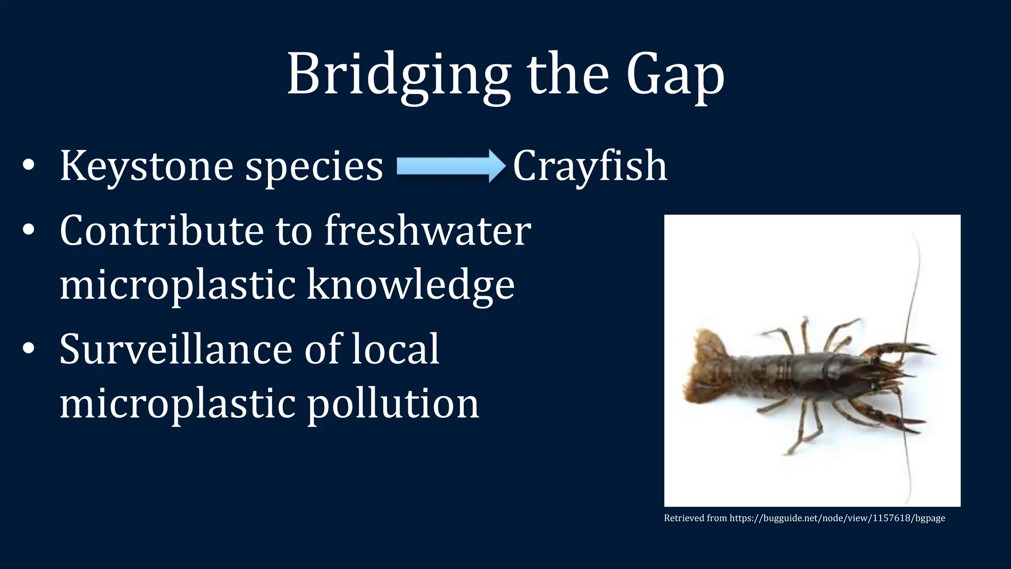 Microplastics Presentation copy (1).pptx