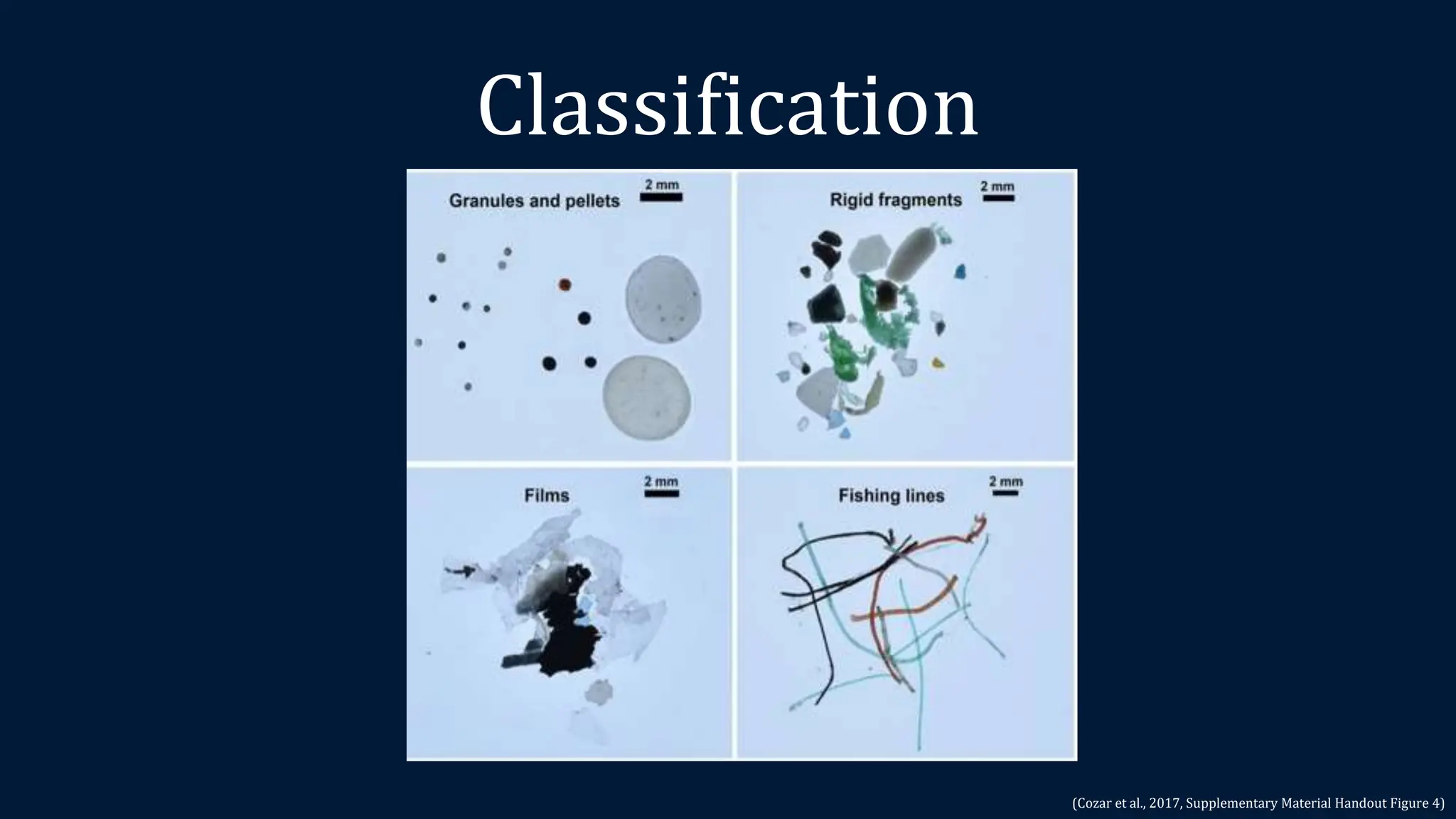 Microplastics Presentation copy (1).pptx