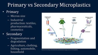 Microplastics Presentation copy (1).pptx