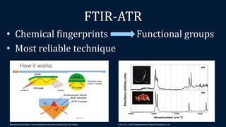 Microplastics Presentation copy (1).pptx