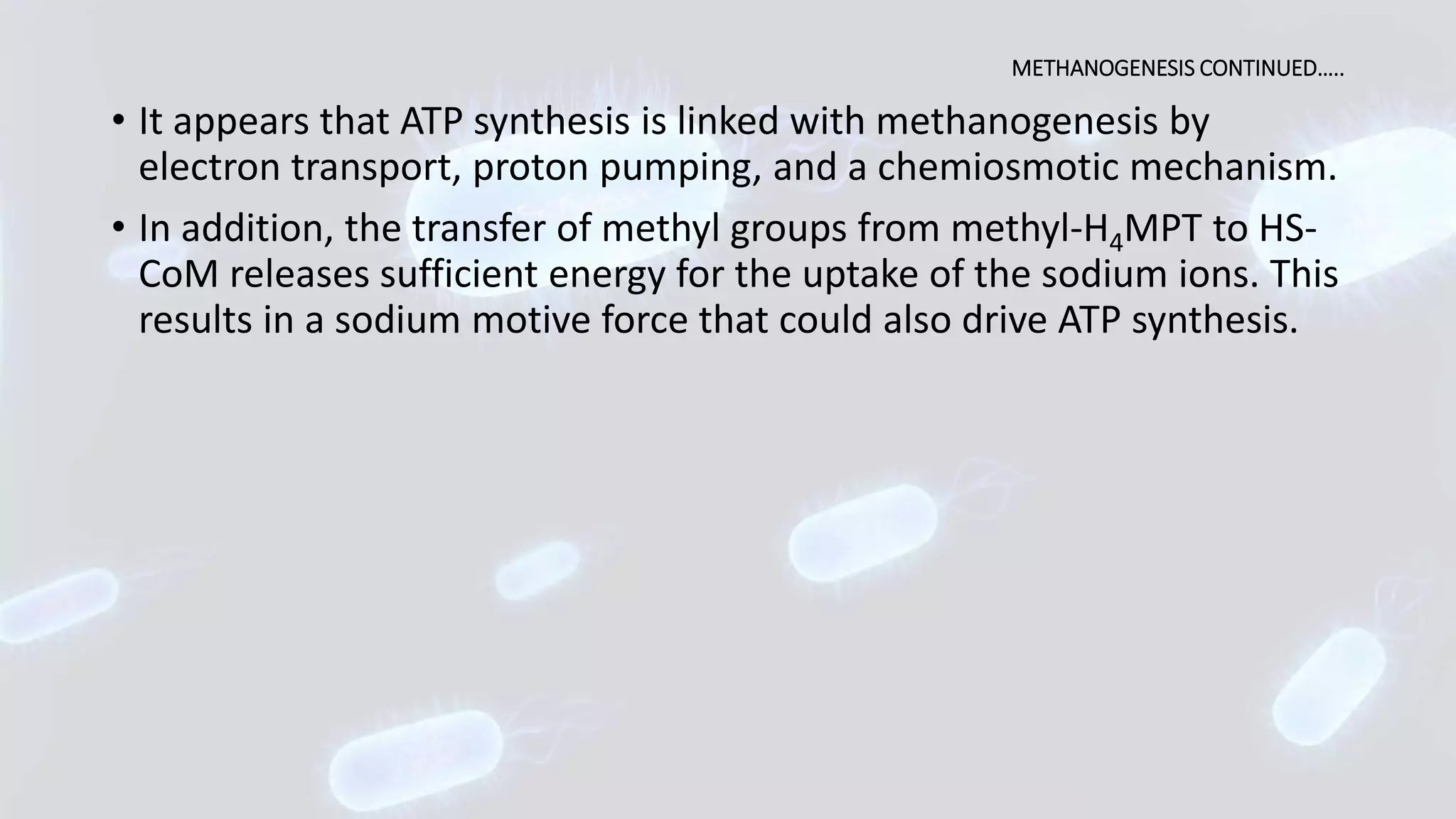nitrate and sulfate reduction ; methanogenesis and acetogenesis | PPTX ...