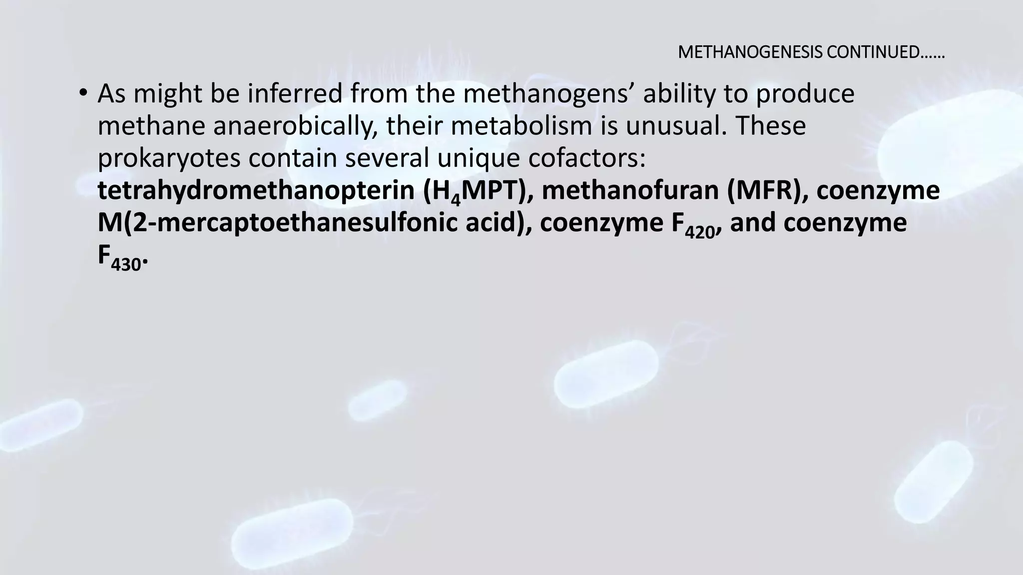 nitrate and sulfate reduction ; methanogenesis and acetogenesis | PPTX ...