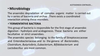 nitrate and sulfate reduction ; methanogenesis and acetogenesis | PPTX ...