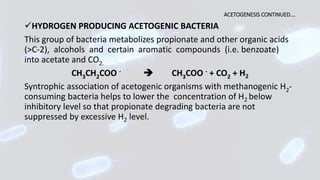 nitrate and sulfate reduction ; methanogenesis and acetogenesis | PPTX ...