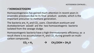 nitrate and sulfate reduction ; methanogenesis and acetogenesis | PPTX ...