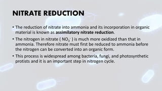 nitrate and sulfate reduction ; methanogenesis and acetogenesis | PPTX
