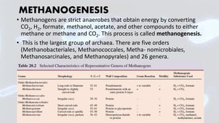 nitrate and sulfate reduction ; methanogenesis and acetogenesis | PPTX