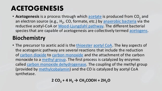 nitrate and sulfate reduction ; methanogenesis and acetogenesis