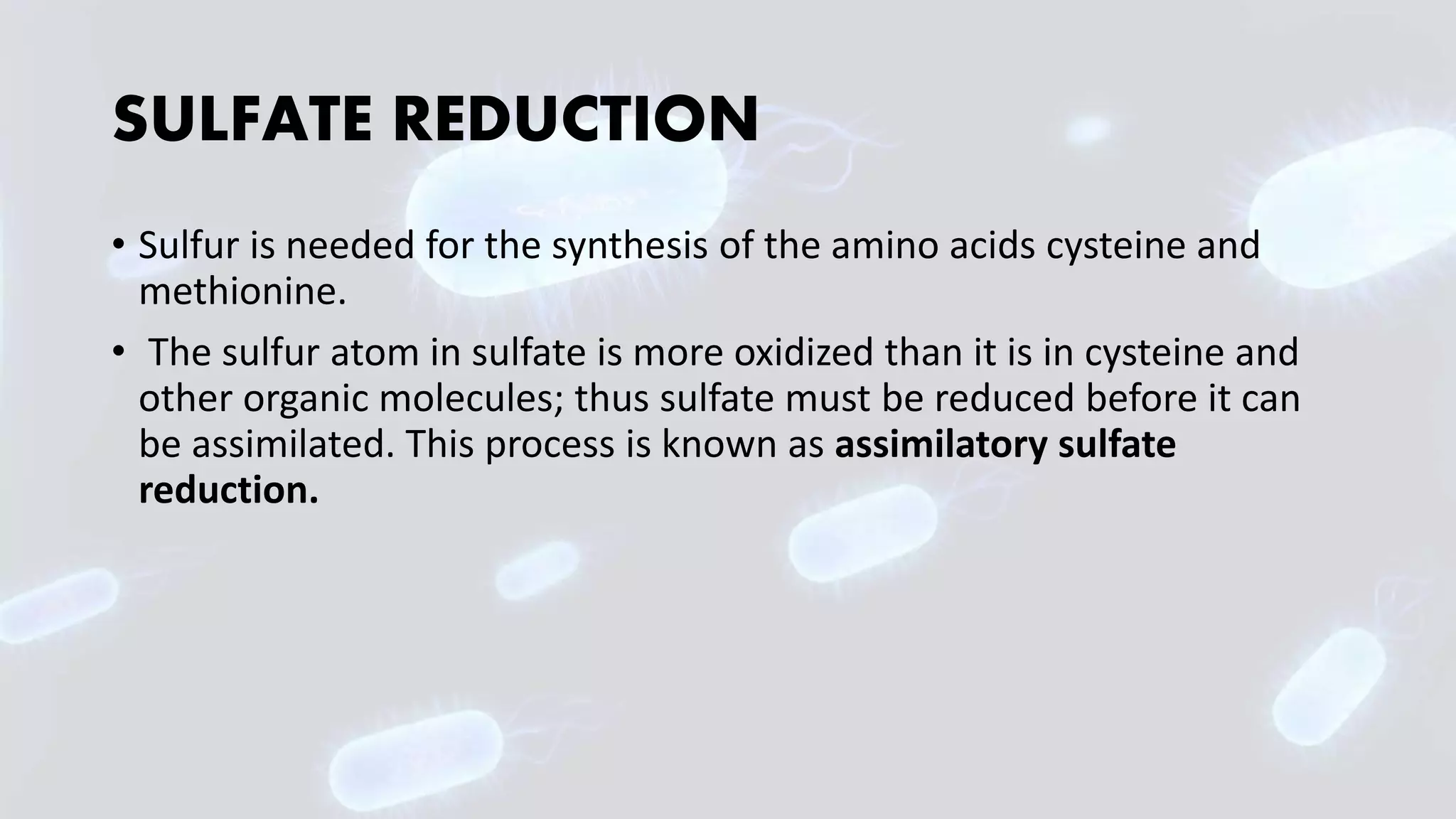 nitrate and sulfate reduction ; methanogenesis and acetogenesis | PPT