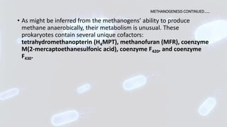 nitrate and sulfate reduction ; methanogenesis and acetogenesis | PPT