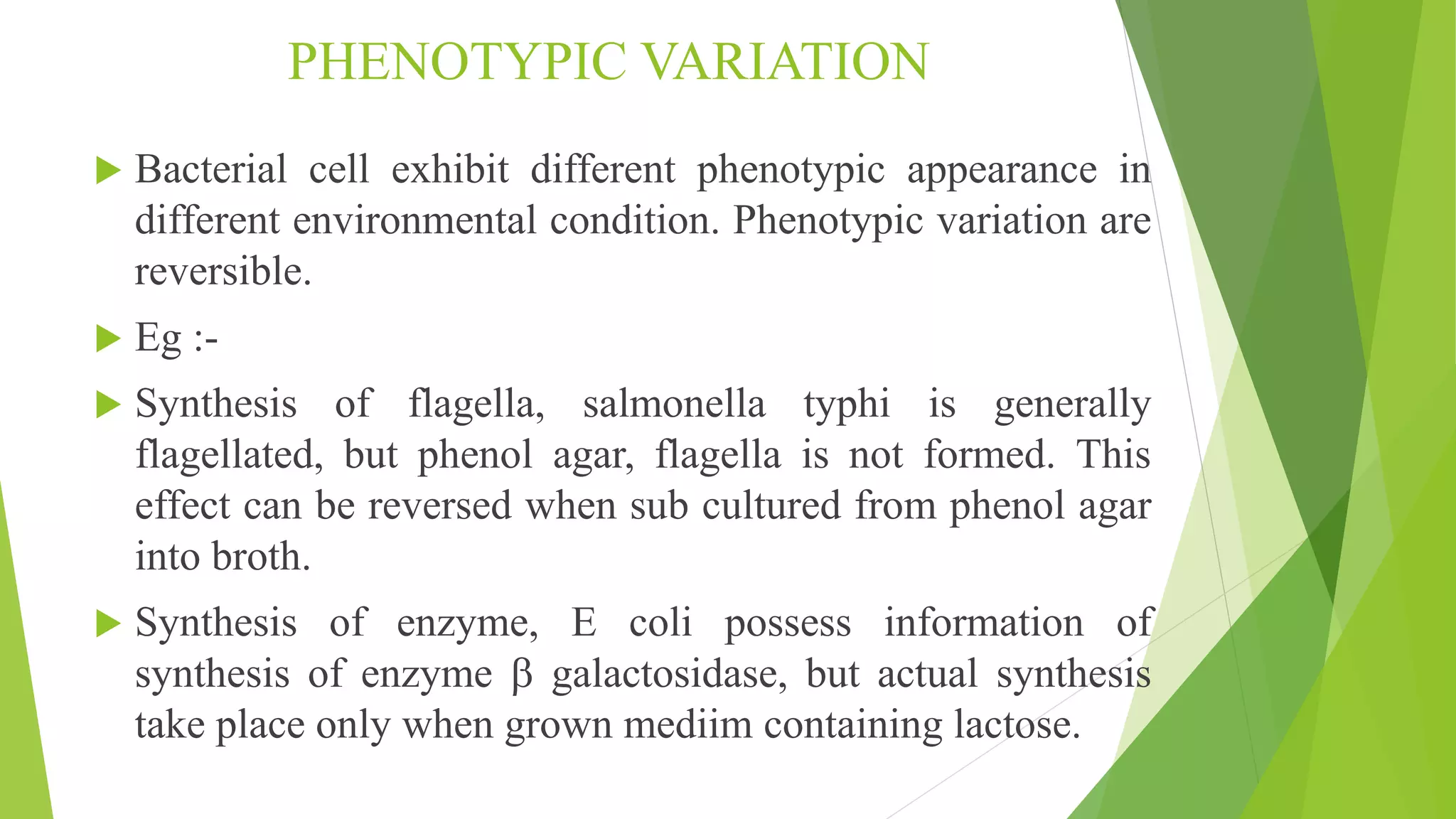 bacterial genetics | PPTX
