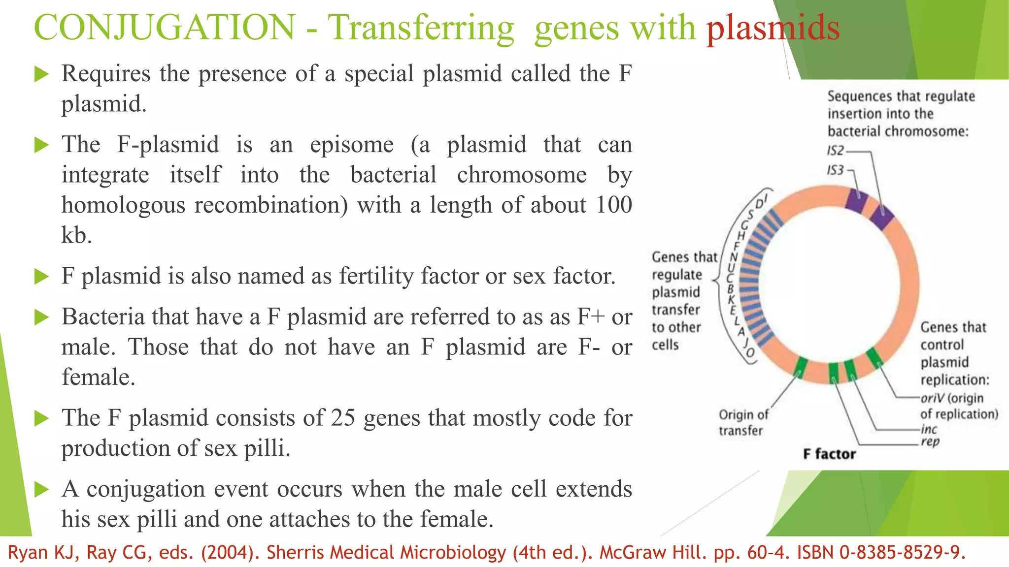 bacterial genetics | PPTX
