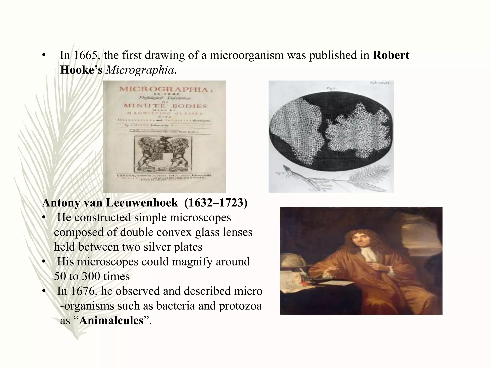 History of Microbiology | PPTX