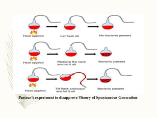 History of Microbiology | PPT