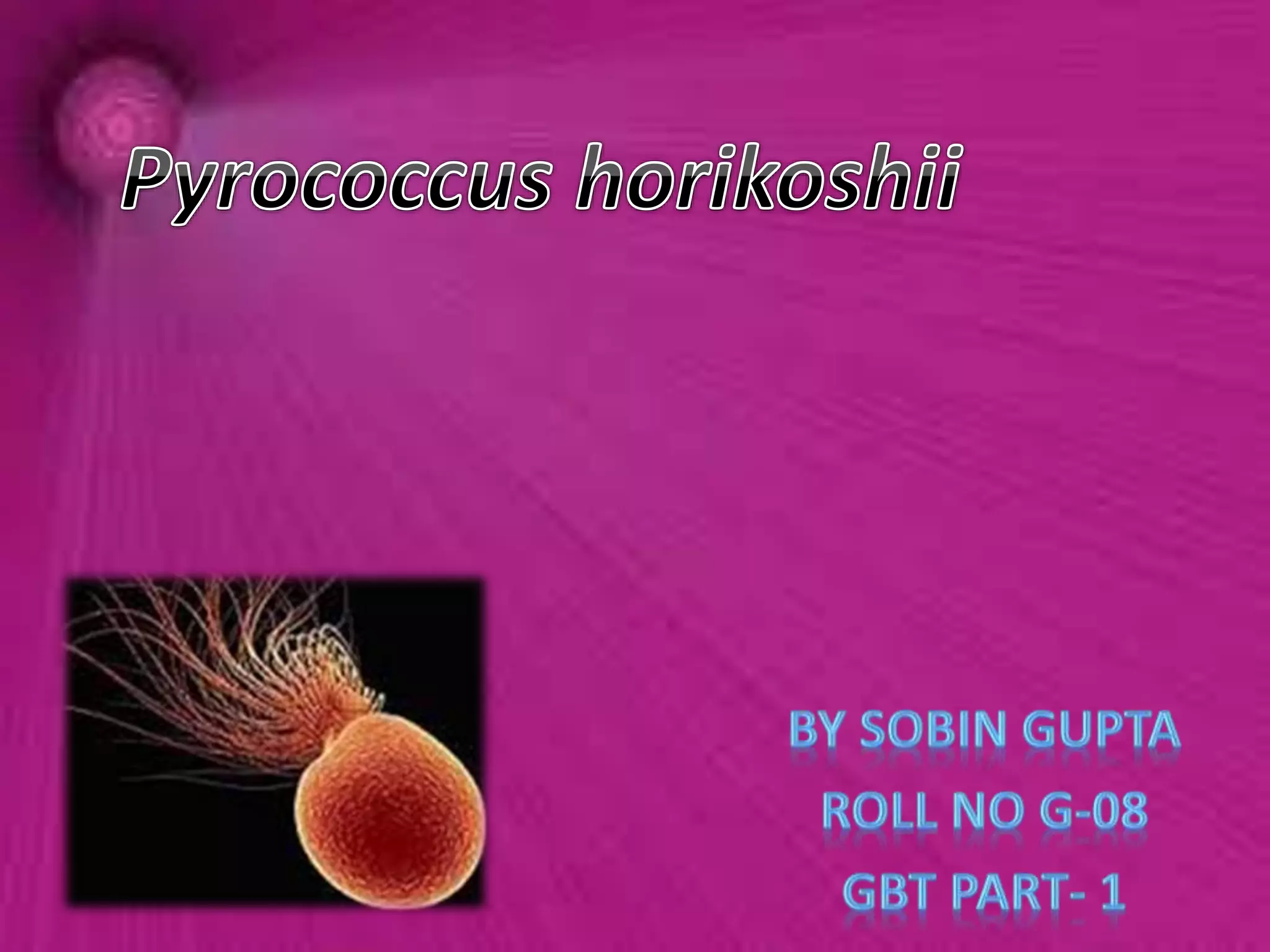 Micro Ppt Ppt