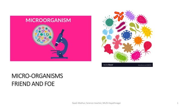 Microorganism ppt | PDF