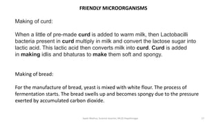 Microorganism ppt | PDF