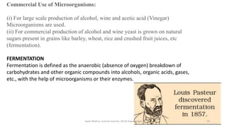 Microorganism ppt | PDF