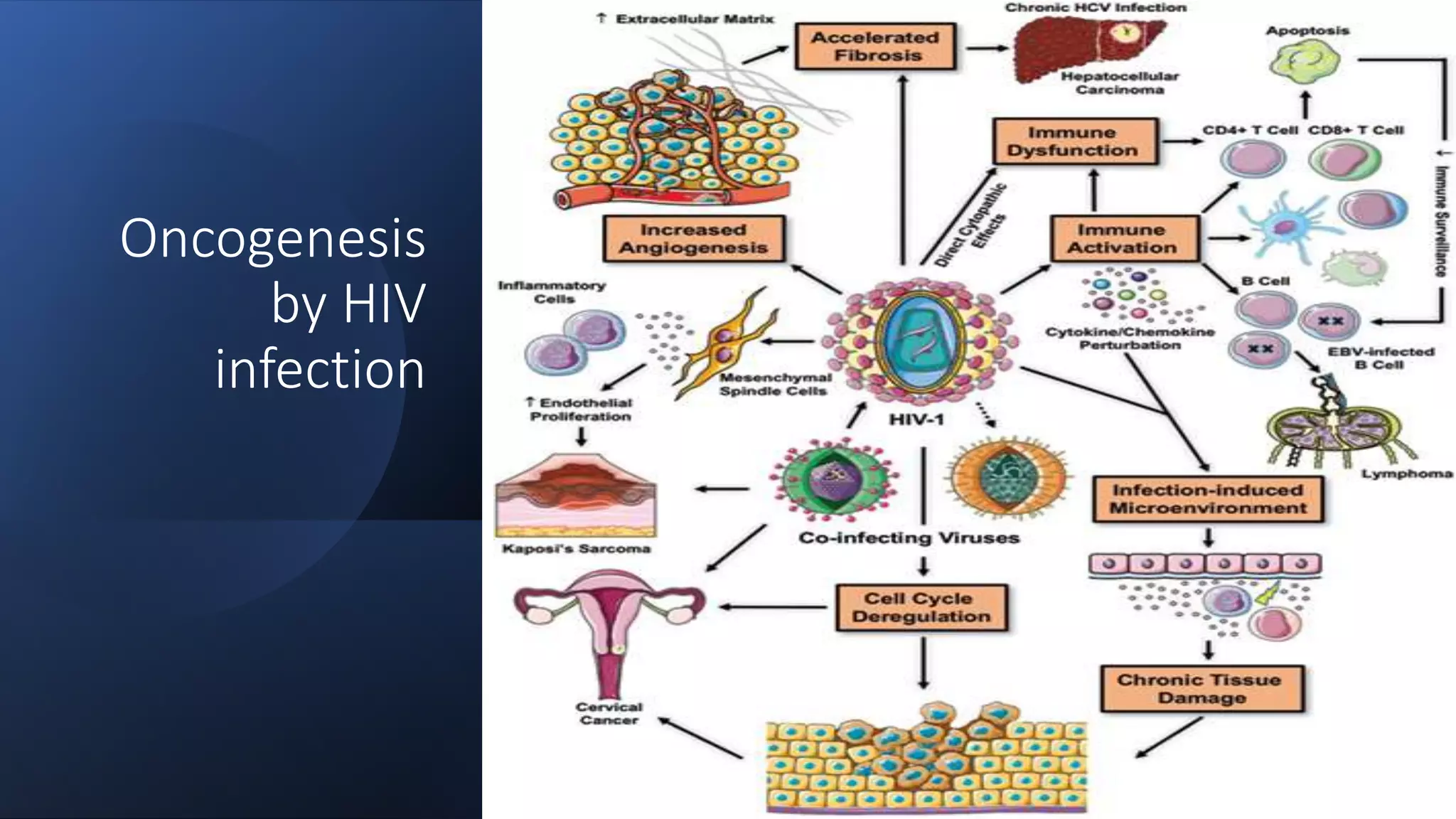 Oncogenes RNA viruses | PPT