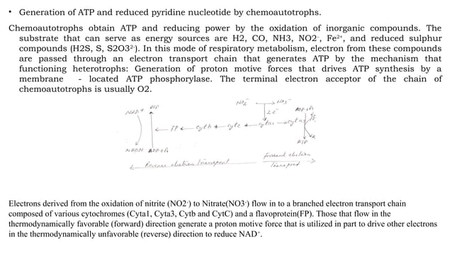 Basic Energy Yielding Mechanism of Chemoautotrophic & Photoautotrophic ...