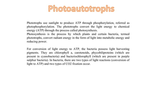 Basic Energy Yielding Mechanism of Chemoautotrophic & Photoautotrophic ...