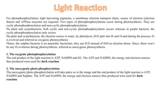 Basic Energy Yielding Mechanism of Chemoautotrophic & Photoautotrophic ...