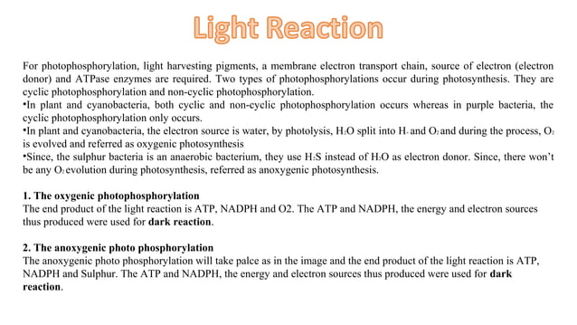 Basic Energy Yielding Mechanism of Chemoautotrophic & Photoautotrophic ...