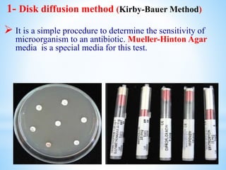Micro practical /anti microbial sensitive test | PPT