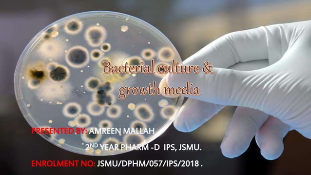 Bacterial Growth & culture media | PPTX