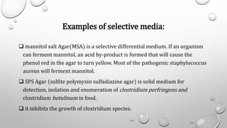Bacterial Growth & culture media | PPTX