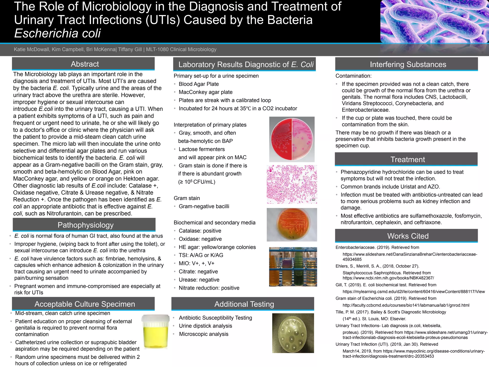 Clinical Microbiology Scientific Poster | PPTX