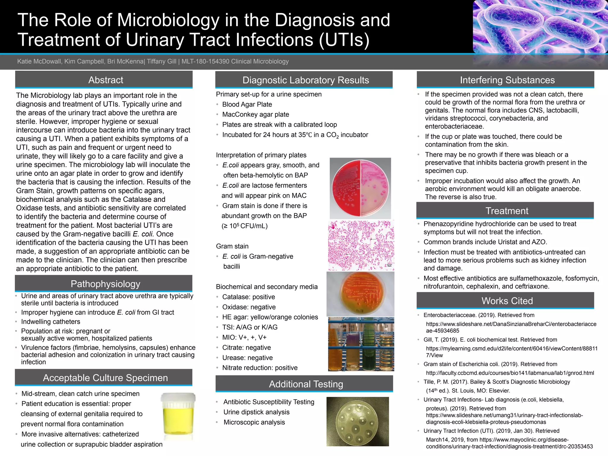 Micro presentation UTI | PPTX
