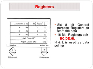 Microprocessor architecture | PPT