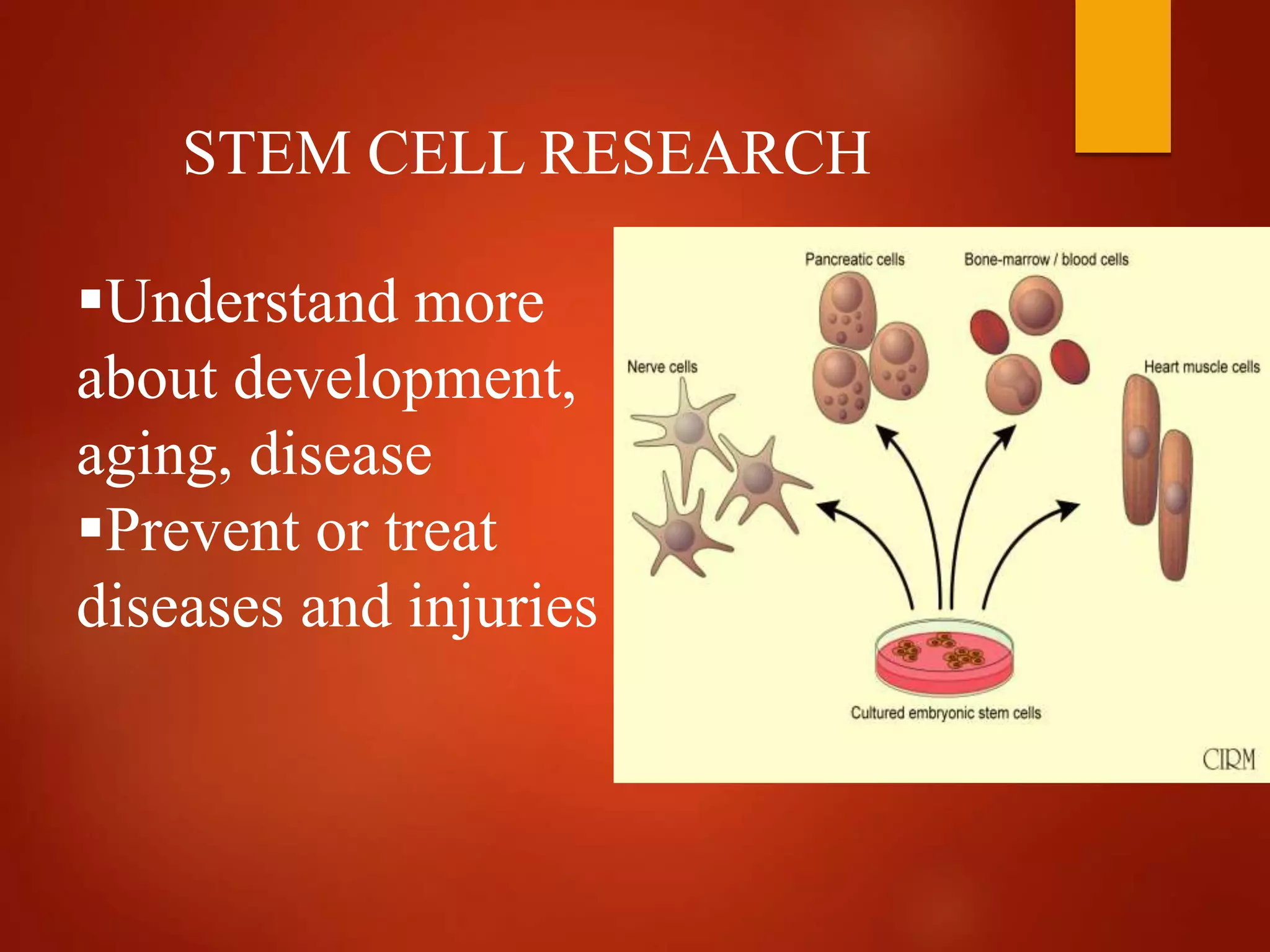 Microprocessor in human body | PPT