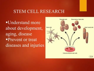 Microprocessor in human body | PPT