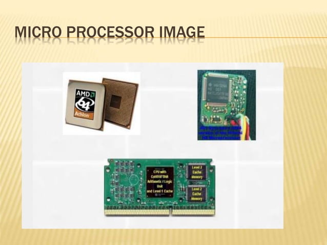 Microprocessor organization in digital | PPT