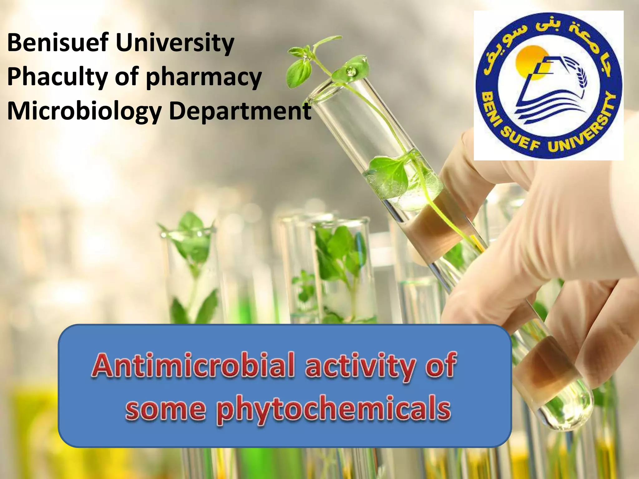 Antimicrobial activity of some phytochemicals | PPTX
