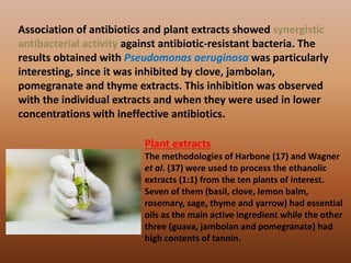 Antimicrobial activity of some phytochemicals | PPTX | Herbs and ...